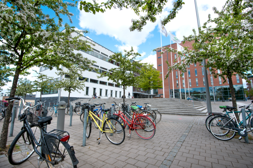 University of Borås - Study in Sweden