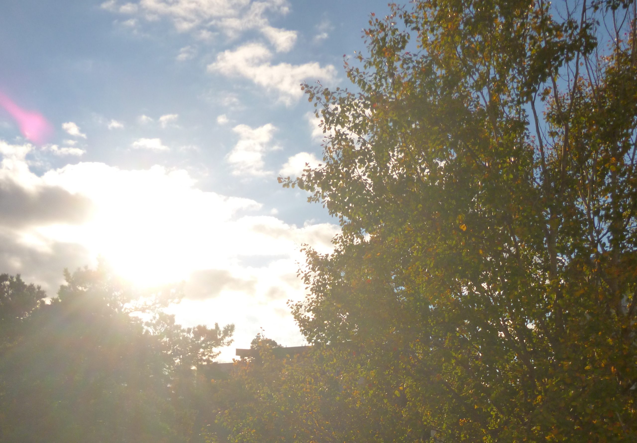 12 Weeks Later... - Study in Sweden