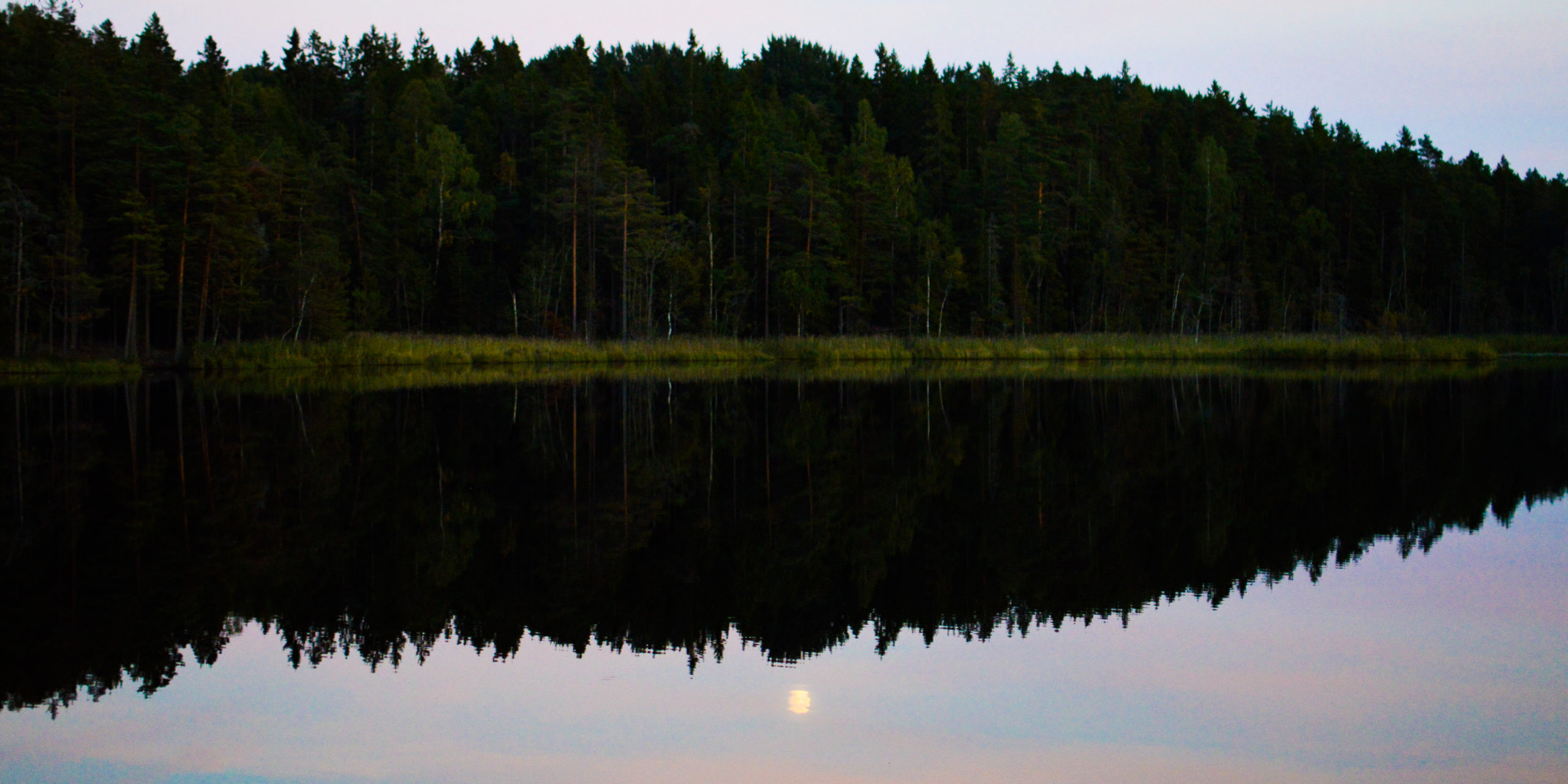 Camping i Skogen - Study in Sweden