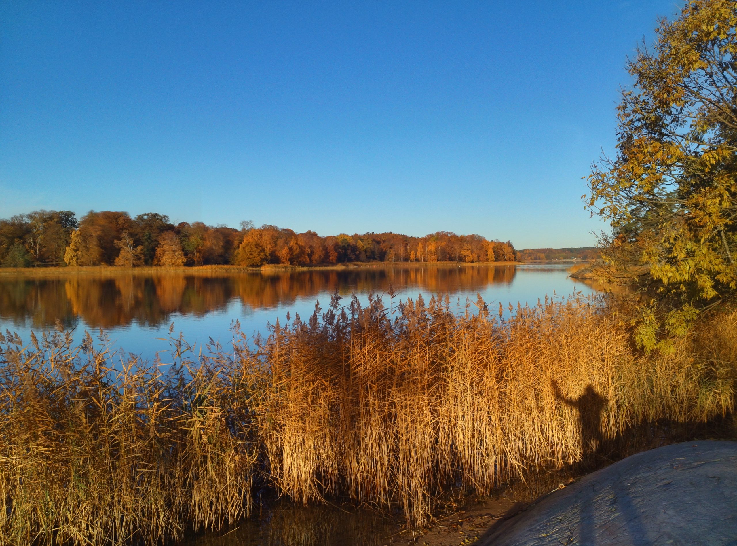 Colours of Sweden - Autumn - Study in Sweden