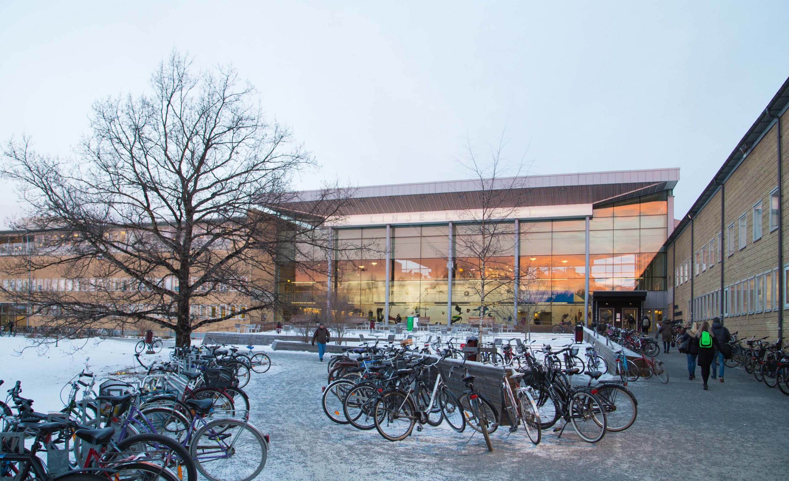 Life at a Swedish University - Study in Sweden