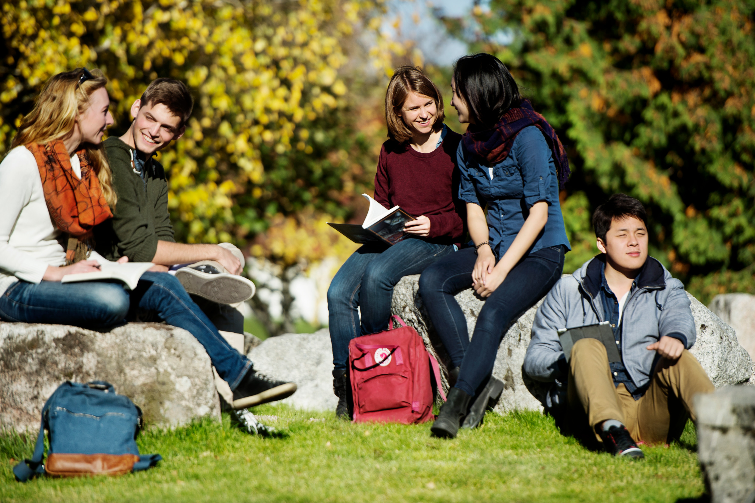 8 Phenomena You Need To Be Familiar Before Preparing Yourself For ...